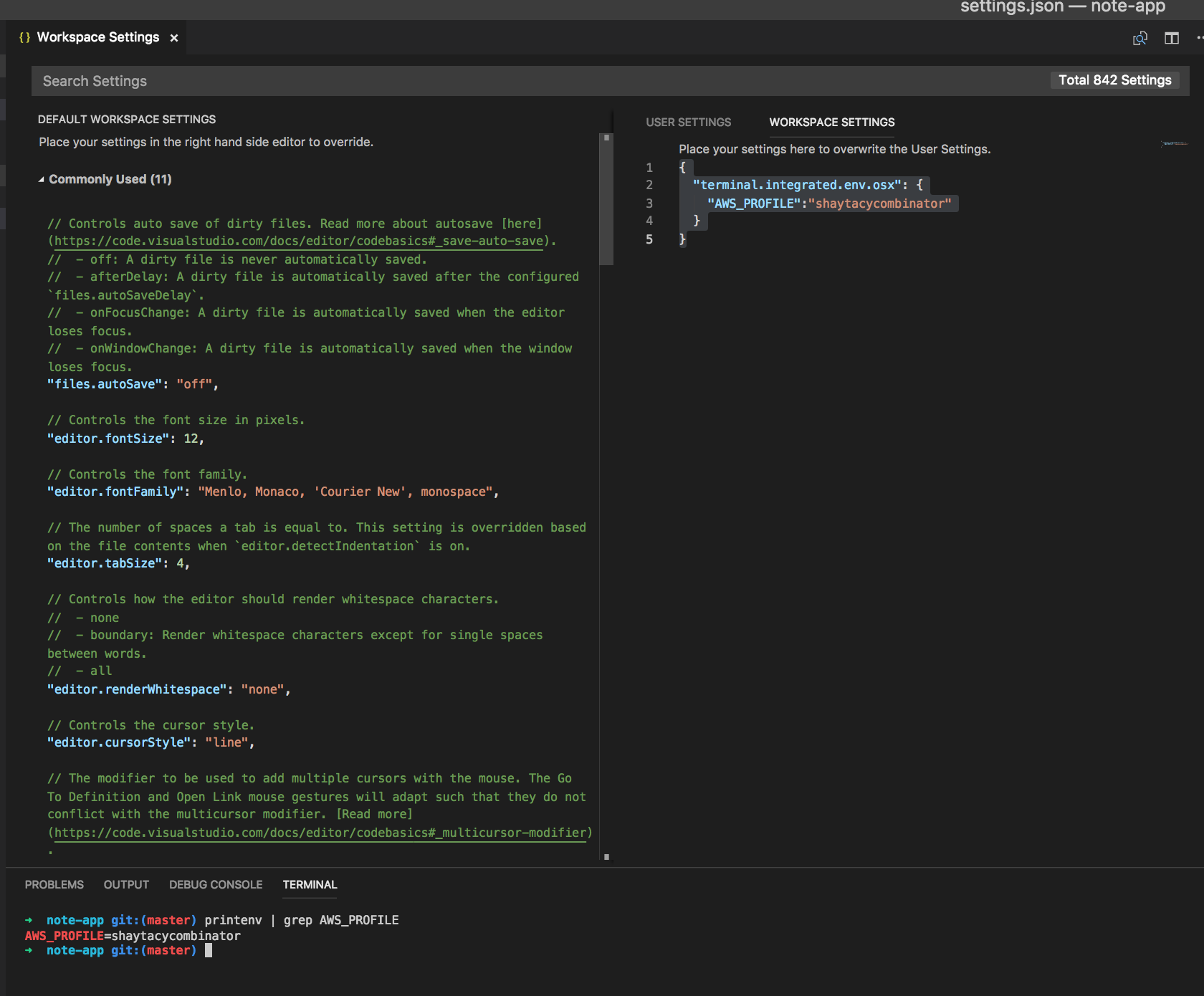 Setup Env Variables For VScode Integrated Terminal 